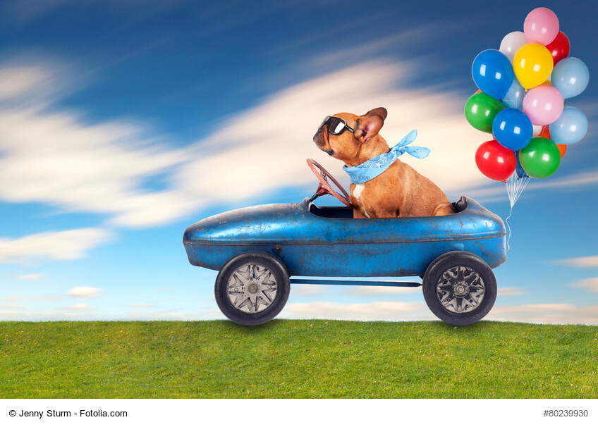 Merkur+Lambio ProNova GmbH - Ihre Versicherungs-Agentur in Frankfurt am ...